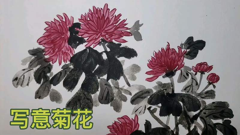 隽秀多姿,又简单易学的写意菊花绘画视频