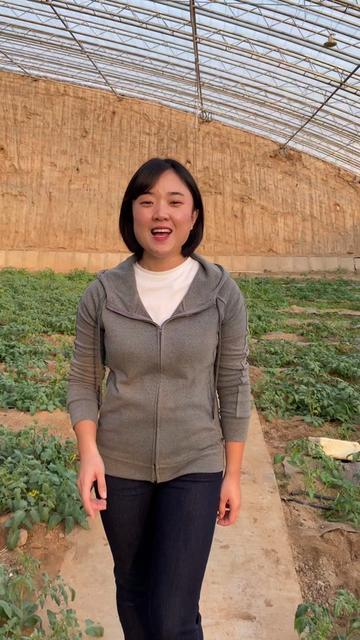 有啥说啥、简易无土栽培操作简单、地上结构不沤根