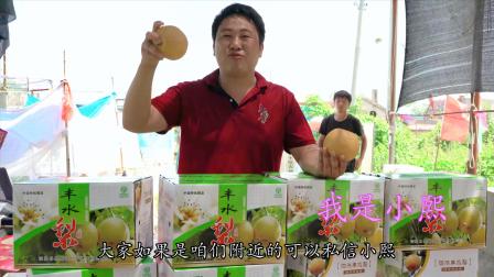   20万斤丰水梨滞销后续,小熙宣传起效果,采摘批发整起来