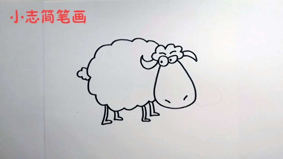 教你画可爱的小绵羊,快来和小志老师一起画吧!