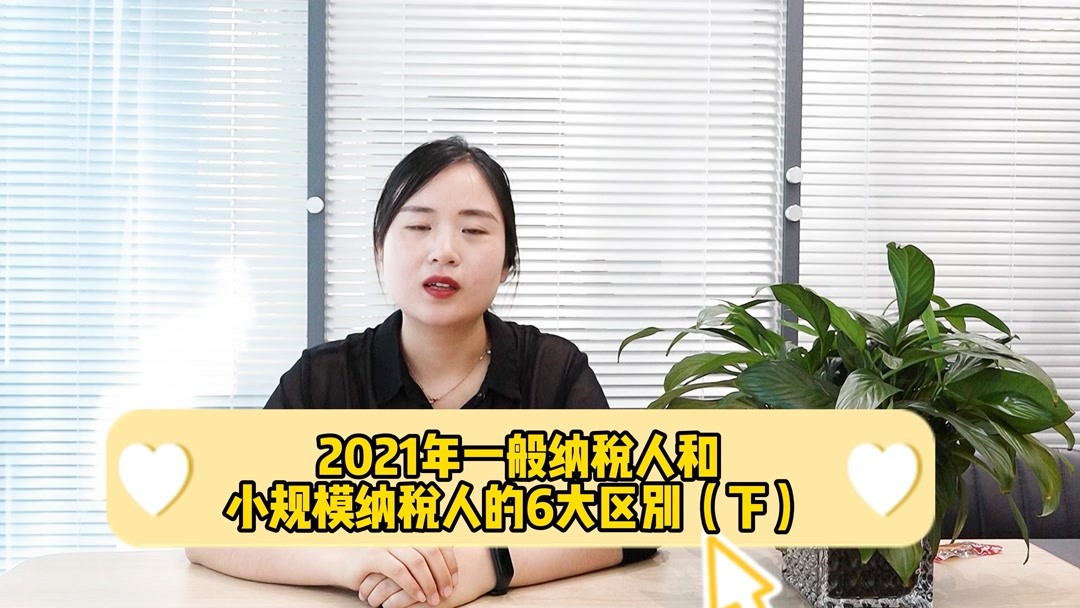 2021年一般纳税人和小规模纳税人的6大区别(下)