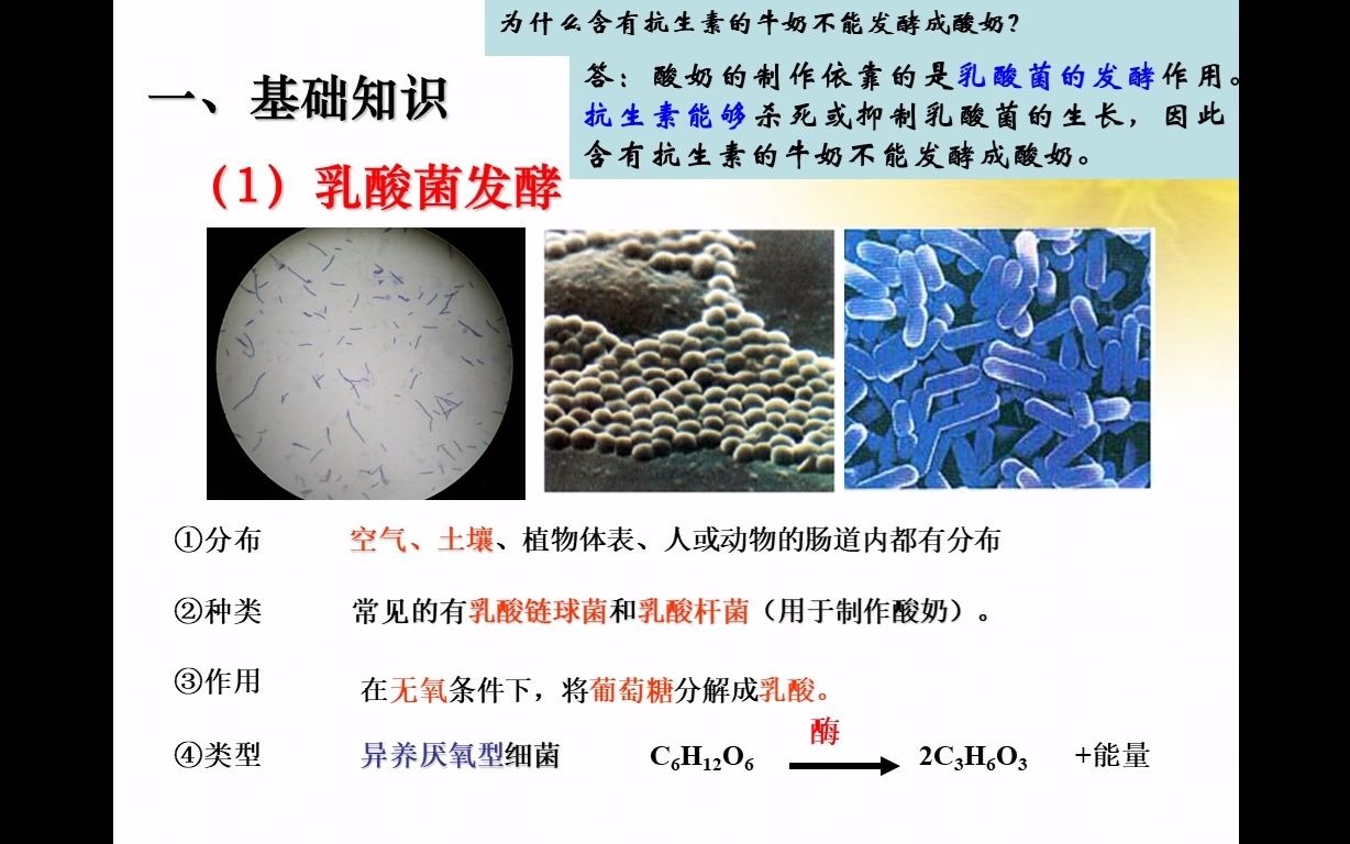 1.3制作泡菜并测定亚硝酸盐含量