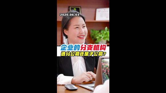 企业的分支机构,选分公司还是子公司?
