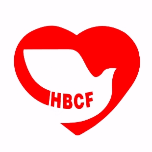 优酷用户1642495693338709 