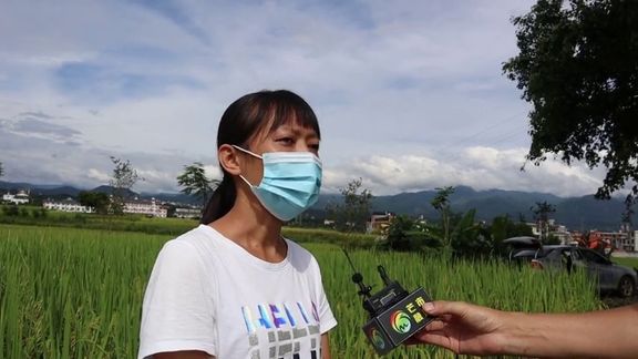 节约成本900万,芒市绿色耕作模式实现用地养地两不误