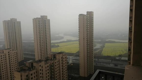 疫情75天,实拍江苏省无锡市小农村田园风光,油菜花田都开了