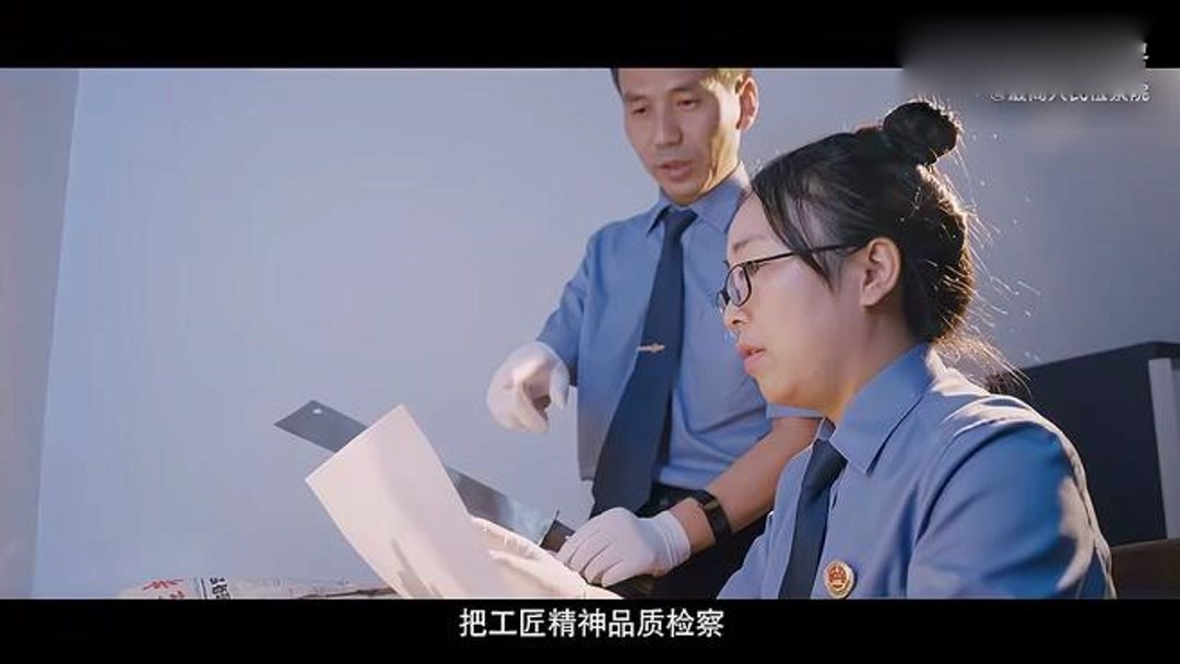 ...【陕西省渭南市富平县人民检察院杨某军专案临时党支部作品《“...