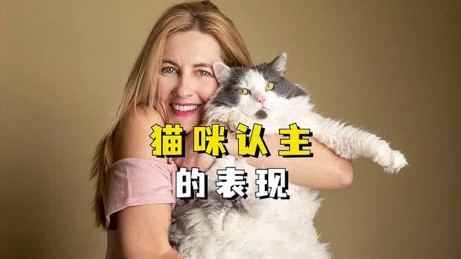 猫咪是否认你为主?看它有没有这些表现就清楚了