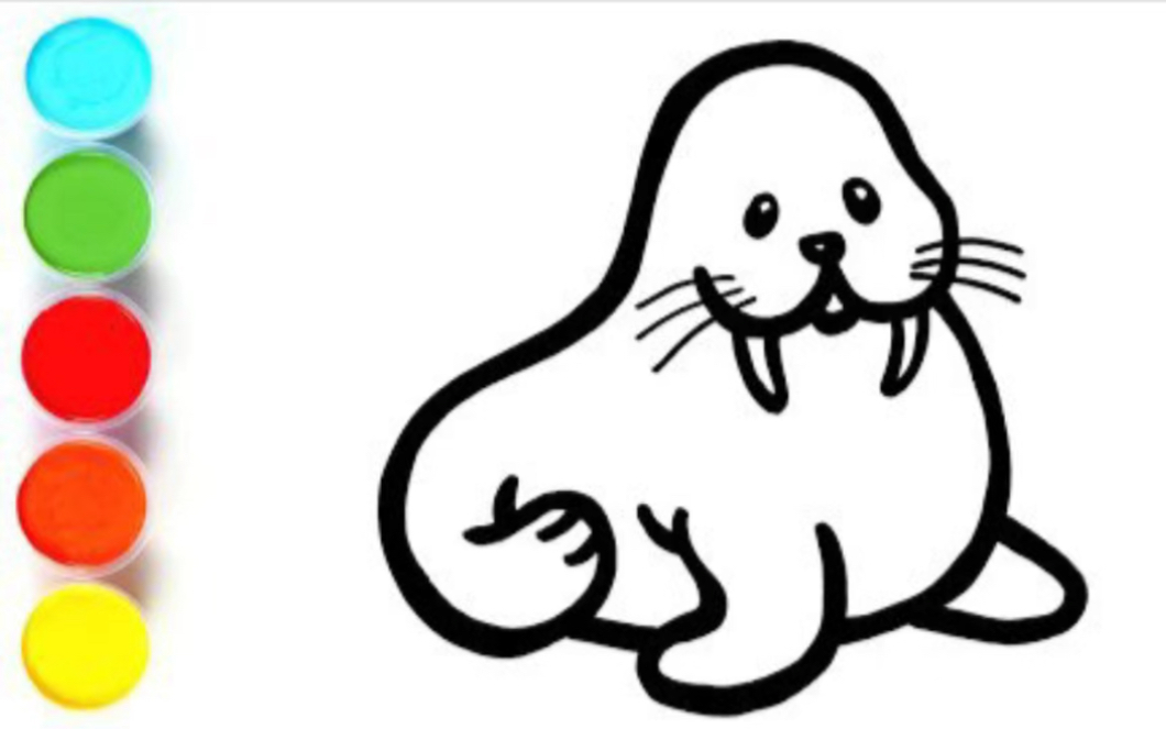 【简笔画】简笔面海洋动物|教你如何画海豹!儿童绘画教程