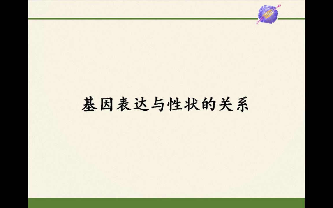 2019人教版必修二基因表达与性状的关系新授课