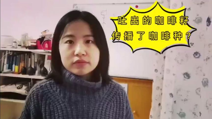 吐出的咖啡籽真的可以长成咖啡树?