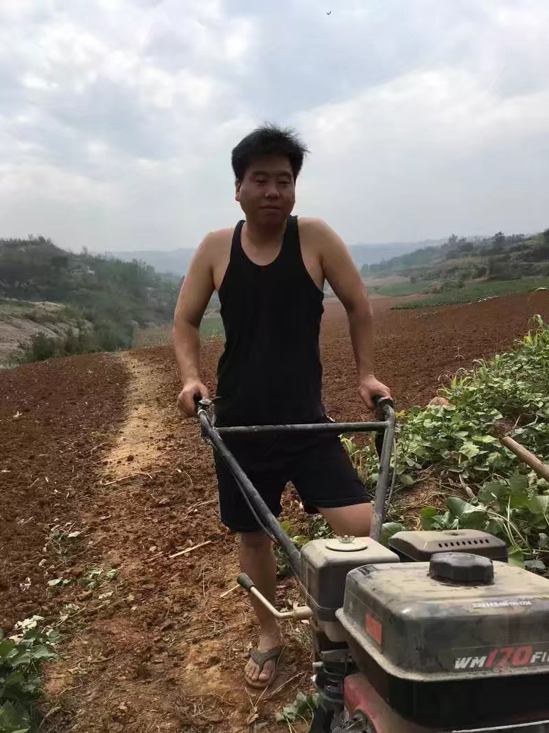 农村伟强的生活 