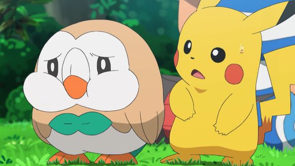 宝可梦:木木枭心里苦,憋了一肚子的气,脸都气鼓了