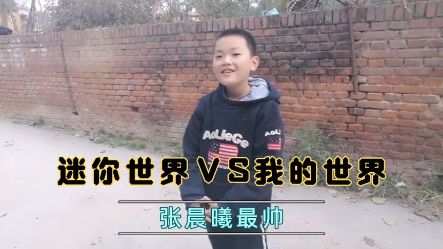 迷你世界与我的世界比较