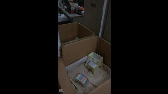 仓鼠窝定期清洗消毒