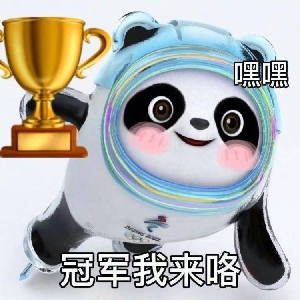 爱数学的小幸运 