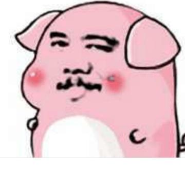 猪猪杰的生活日记 
