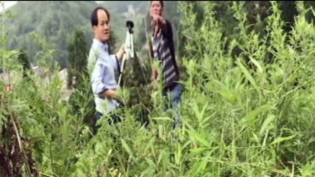 风水大师赵一铭外出风水调整