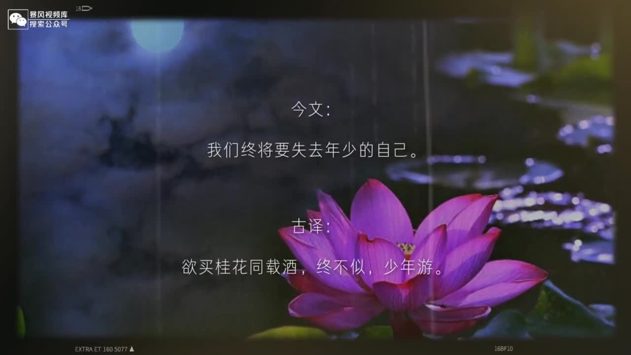 【今文古译】感受古文的绝美。