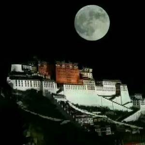 longqiango8 