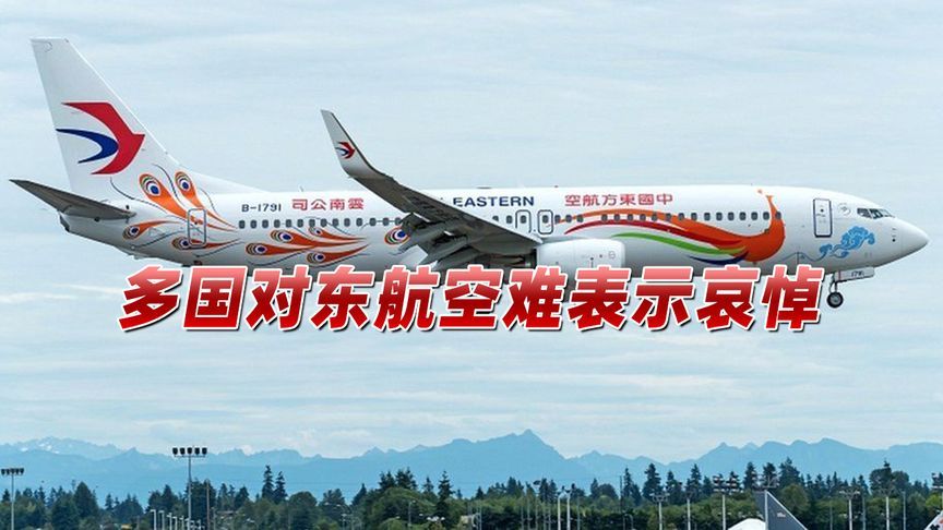 东航客机失事,多国表示哀悼