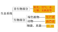 人教版七年级上册第二章第二节《生物与环境组成生态系统》ppt