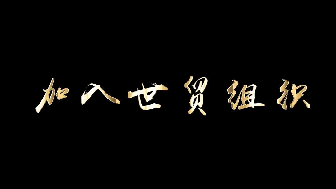 百年求索 加入世贸组织