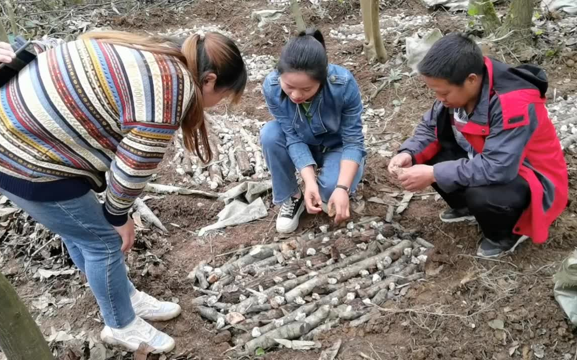 !新农人计划2021 种植基地