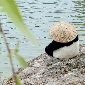 别站太高了 