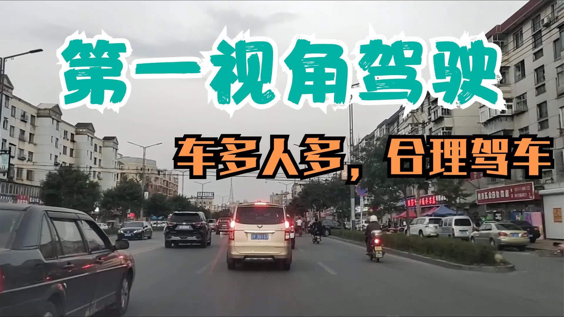 边司机《第一视角驾驶》车多人多,合理驾车