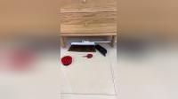 扫把簸箕套装组合家用鬃毛扫地笤帚不粘头发神器魔术捎把扫帚单个