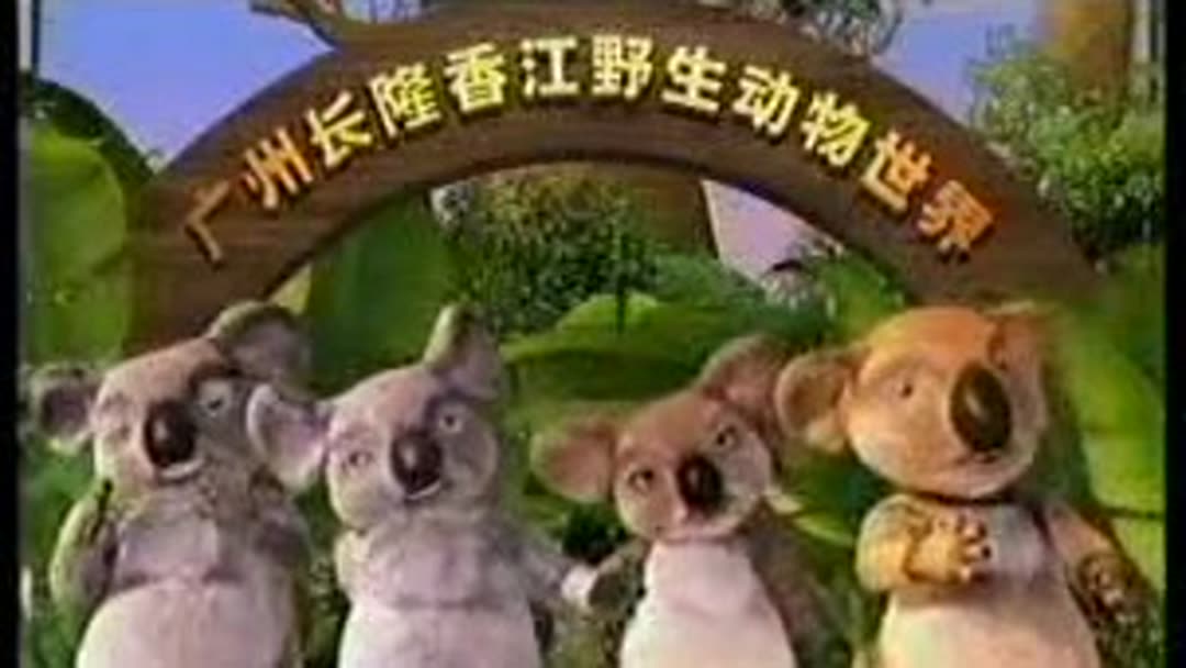 广州长隆香江野生动物世界20XX年广告·形象宣传片《澳洲国宝考拉...