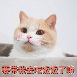 小猪仔古德 