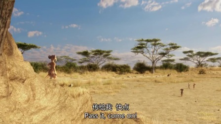 我在动物总动员截取了一段小视频