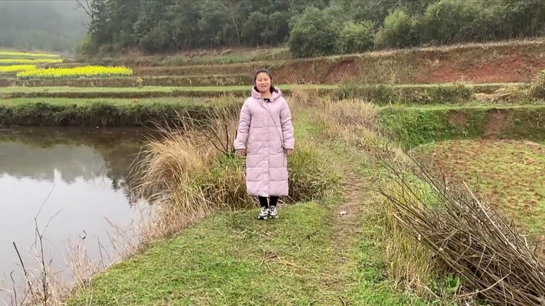 成本只要960元,一亩地利润可达百分之80,又是一个种植新风口!