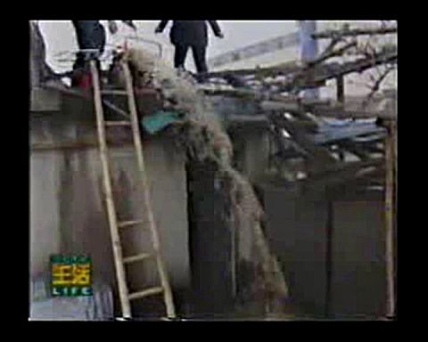 中央电视台(武汉水污染事件)