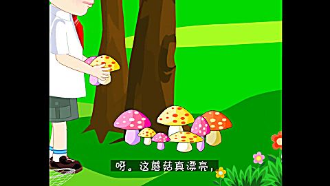 食品安全小博士之不要采食野蘑菇