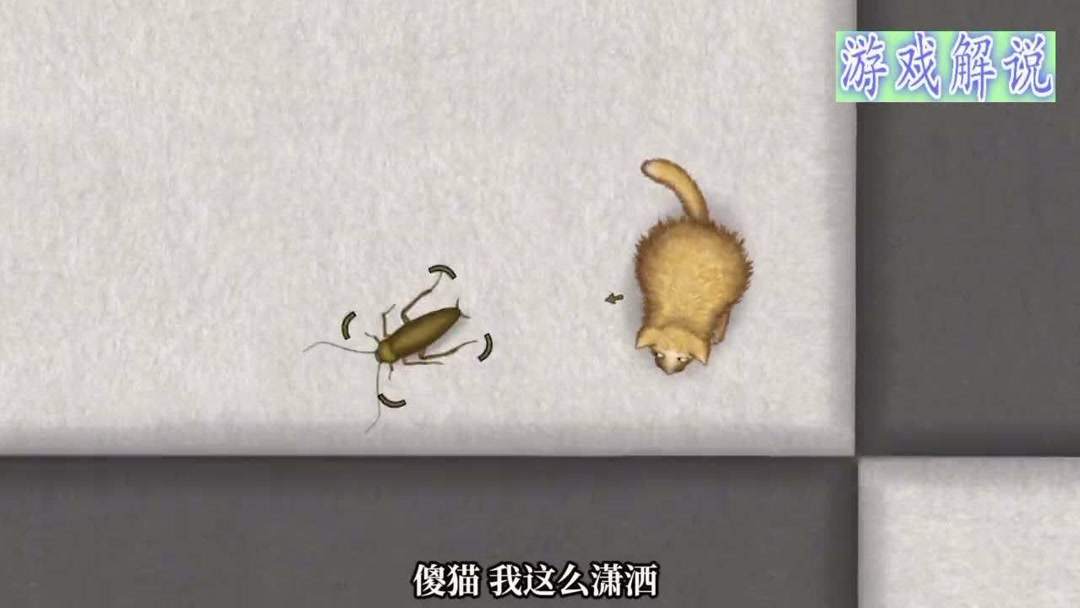 哇咔游戏解说:小猫帮饭店清理垃圾,却发现这里的老鼠比猫还大!