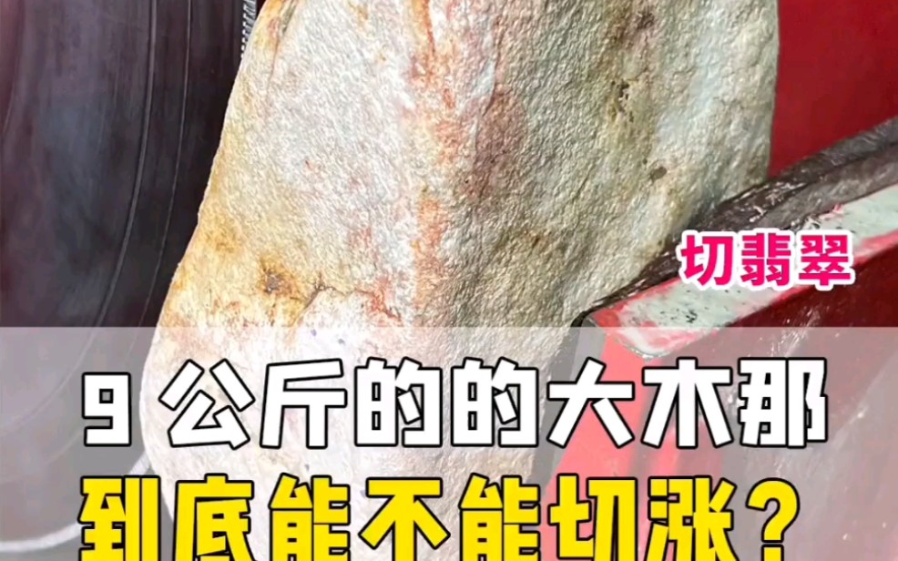 挑战全网切翡翠最多的男人,9公斤的木那切开到底怎么样?#翡翠原石 #...