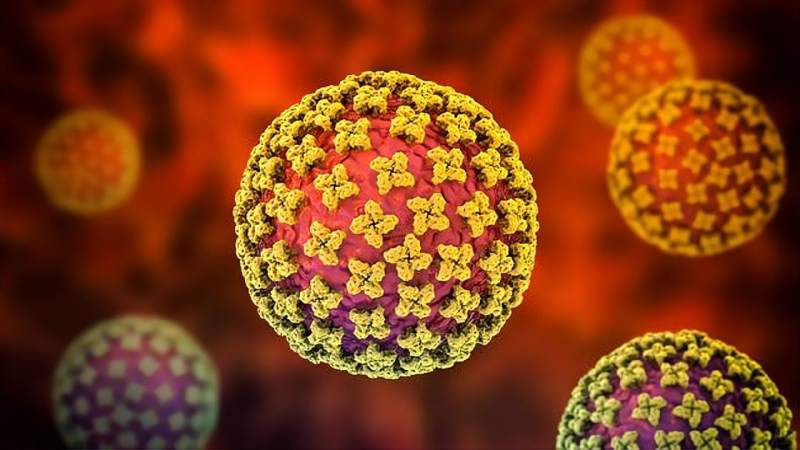 美有人感染汉坦病毒!死亡率达40%,可空气传播,一些症状似新冠