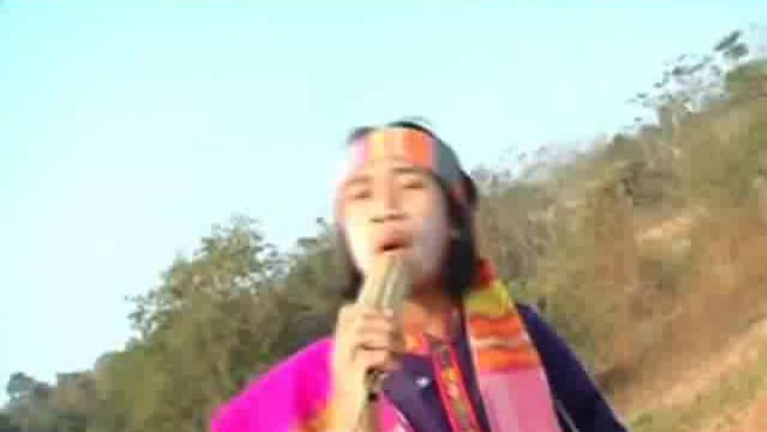 Traditional Thai Music(泰国传统音乐)