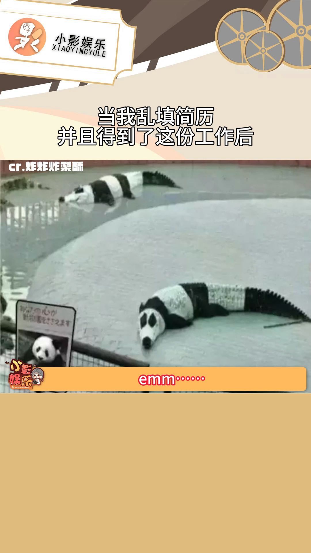 当我乱填简历,并且得到了这份工作后,原来每个地方叫法不一样