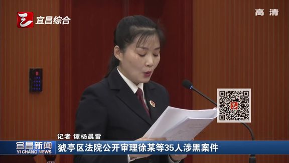 猇亭区法院公开审理徐某等35人涉黑案件