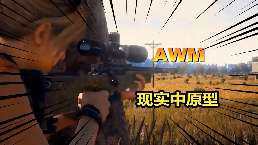 你知道AWM,现实中的用处吗?答案在这里!