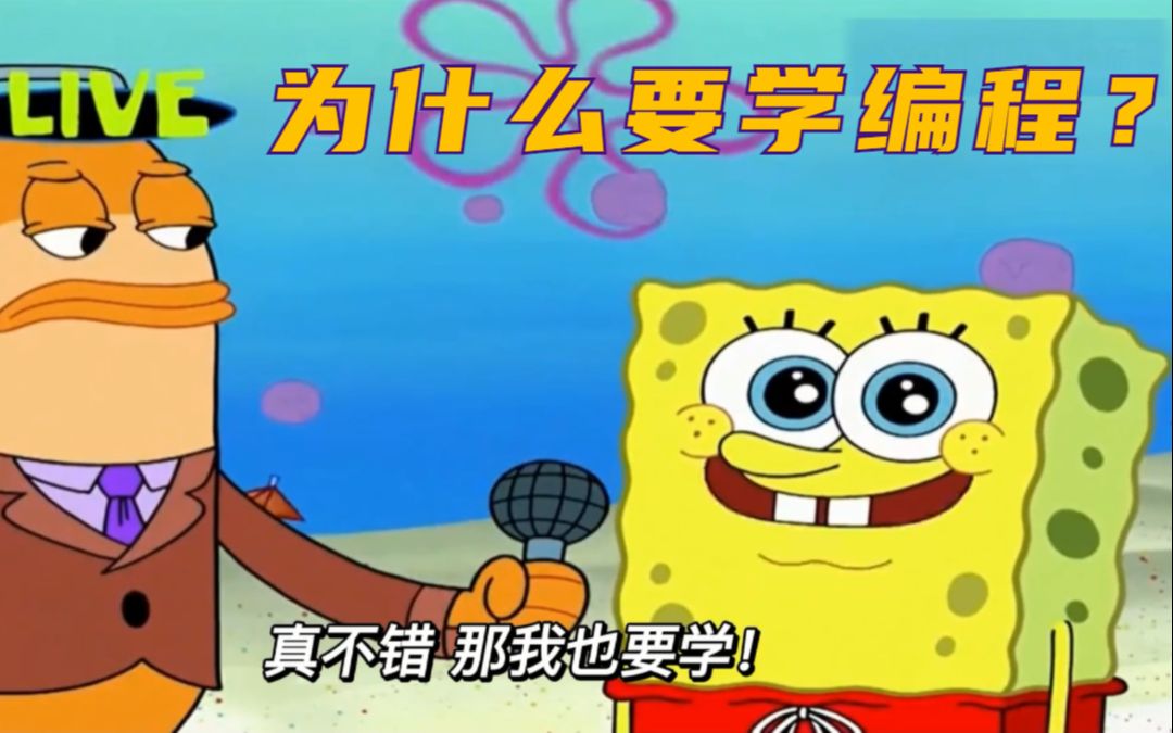 为什么要学编程?