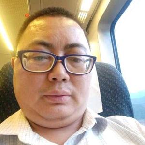 有机餐厨垃圾处理设备 