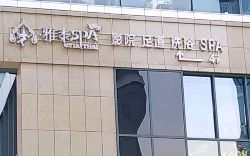 暑假生涯社会实践活动vlog