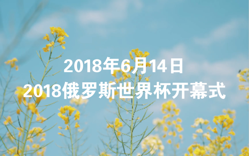 2018年6月14日2018俄罗斯世界杯开幕式