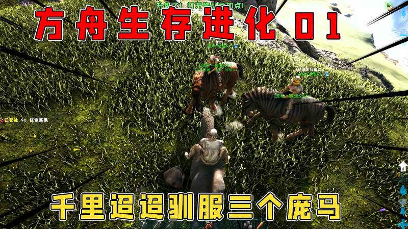 方舟生存进化01:暗墨带俩傻憨憨驯服庞马,多米一路表示太难了!