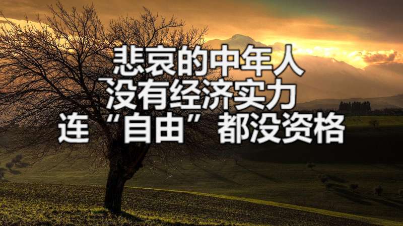 悲哀的中年人,没有经济实力,连“自由”都没资格